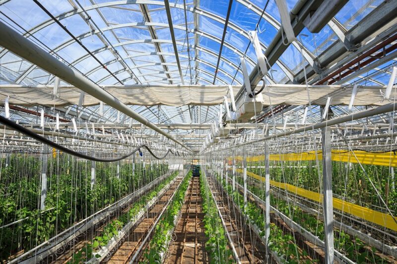 Les Fermes Lufa, modèle mondialement connu d'agriculture responsable - Journaldesvoisins.com