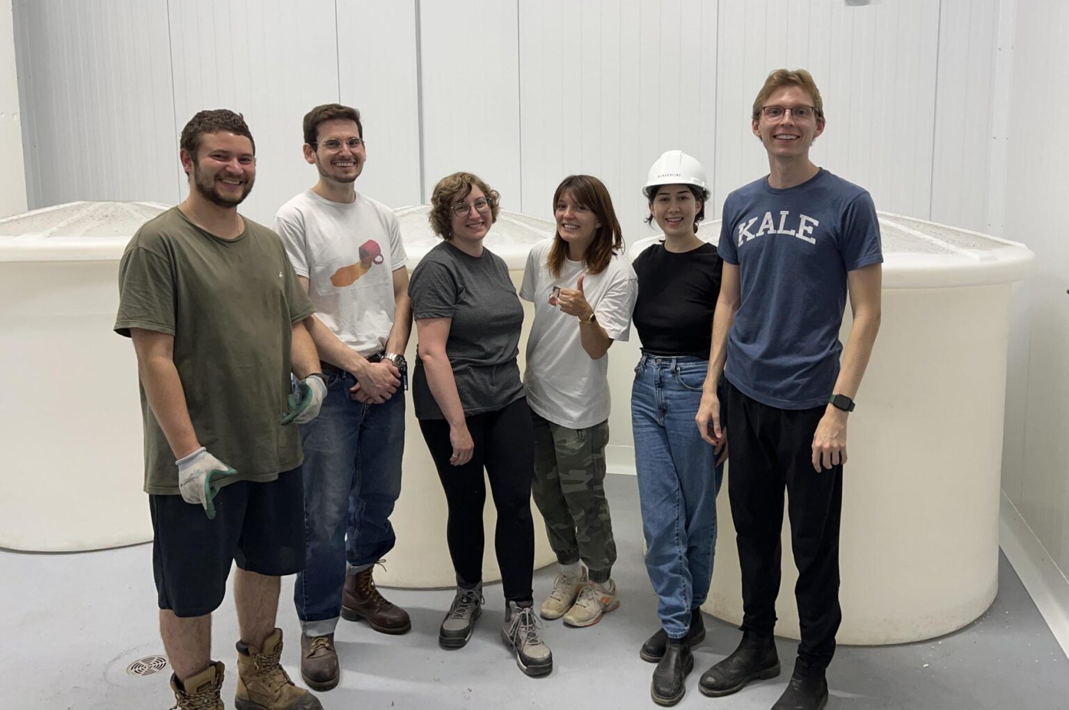 La culture de fraises à Ahuntsic - Journaldesvoisins.com